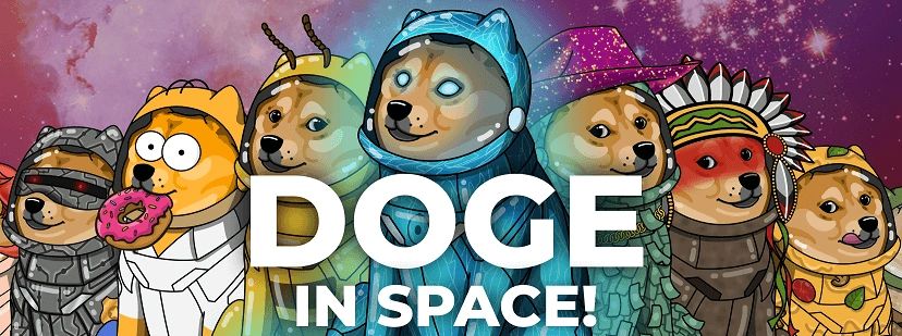 DOGE SPACE